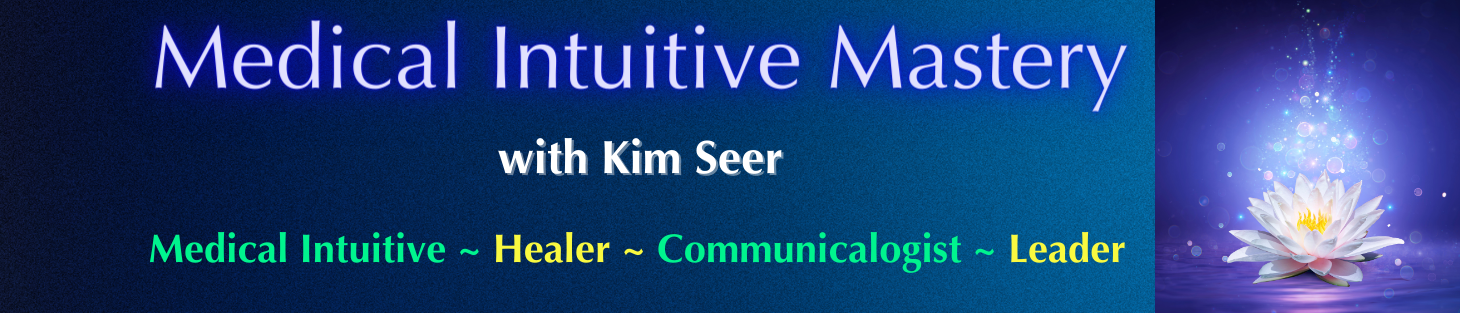 Medical Intuitive Mini Sessions – Kimseer
