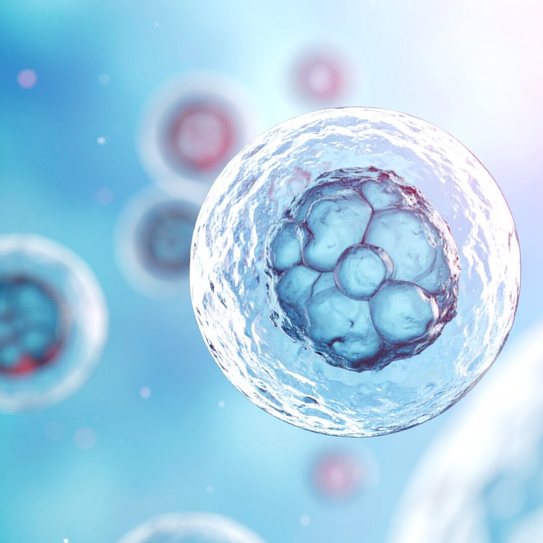 Cellular Healing Method – Kimseer